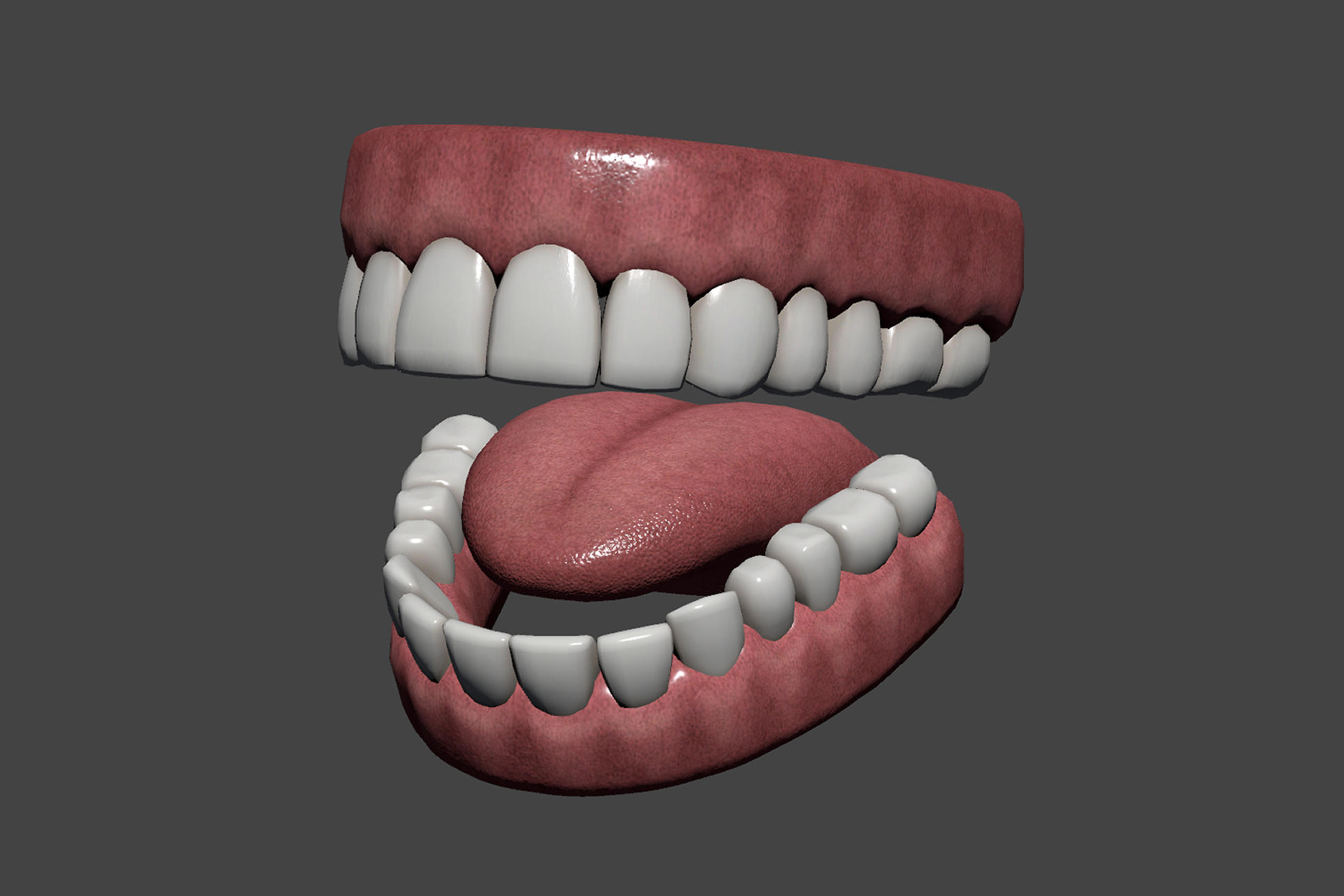 Human Teeth - 3D Model by RedNebulaStudios