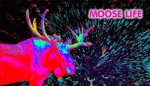 Moose Up! by Retro Arcades