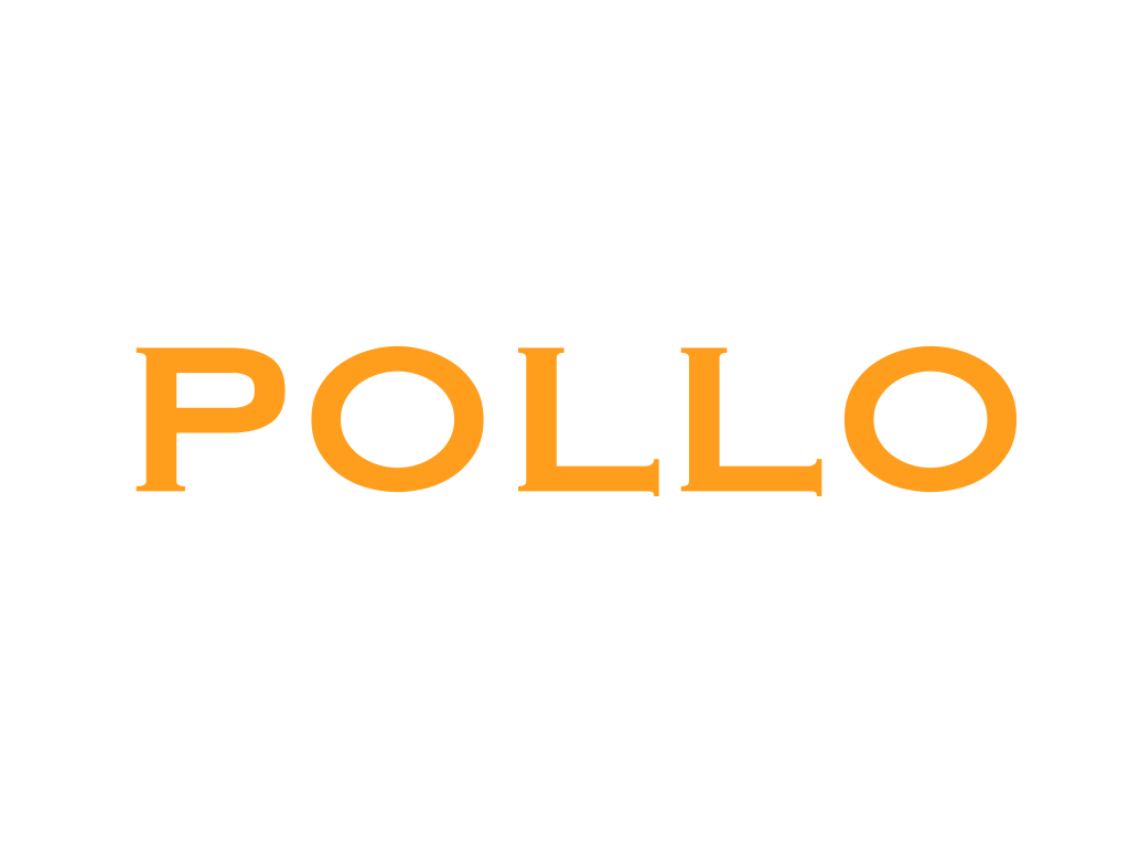 POLLO by POLLO