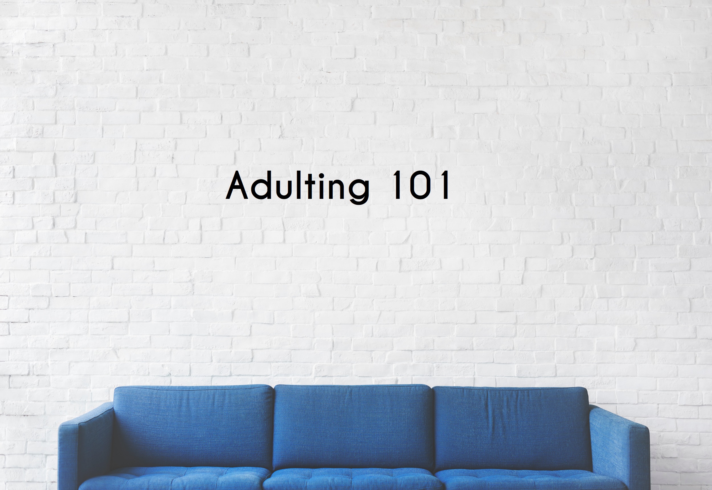 Adulting 101 by Joan