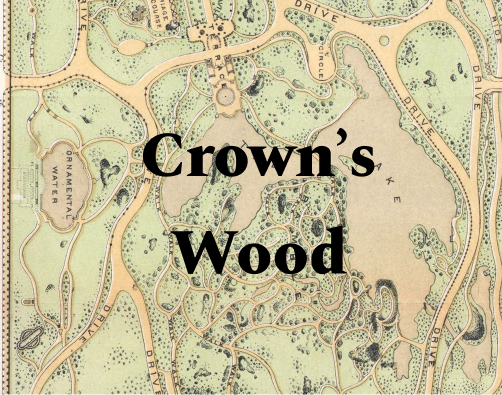 Crown's Wood by franc
