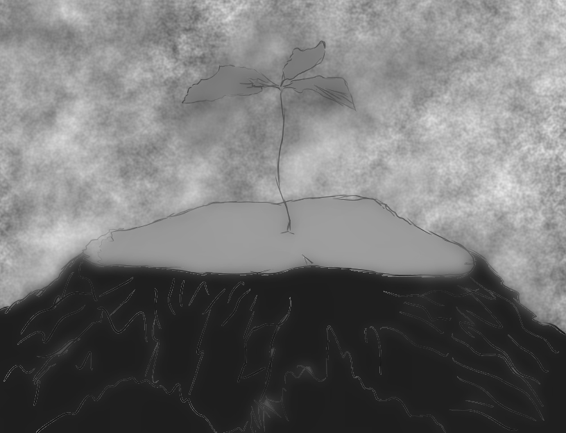 Pieces by Abra Geroni