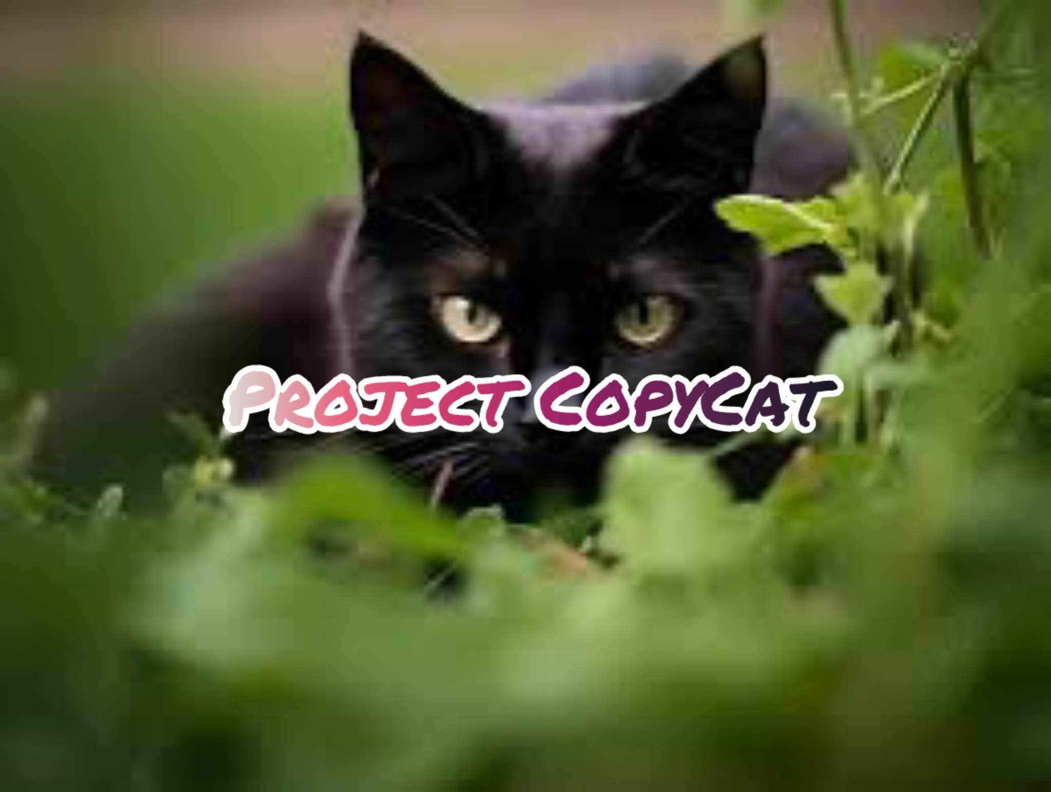 Project CopyCat by xtronz
