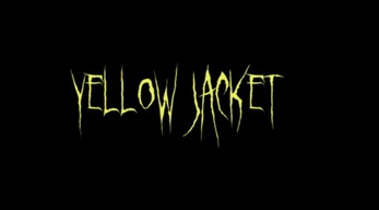 Yellow jacket by Thesmartparrot