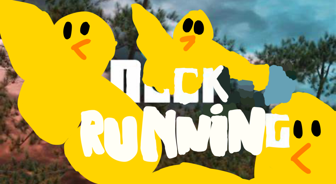duck running by gorillkovr