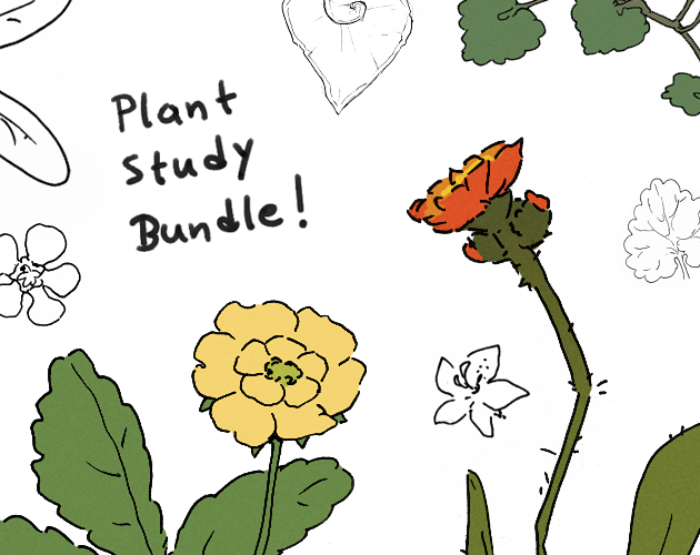 Plant Study Bundle (2023 + 2024) by LadyIcepaw