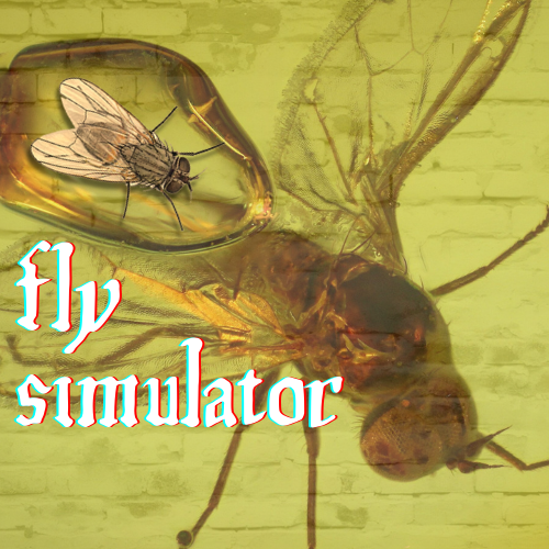 Fly Simulator by Noa Segal