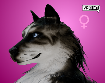 ZealotDKD wolf husky female (vrchat blender) by ZealotDKD