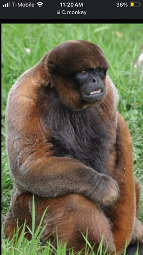 Project Ghost by Crushersvr