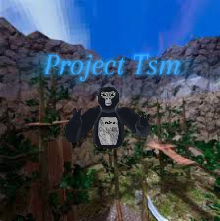 Project Tsm by Stxrmion