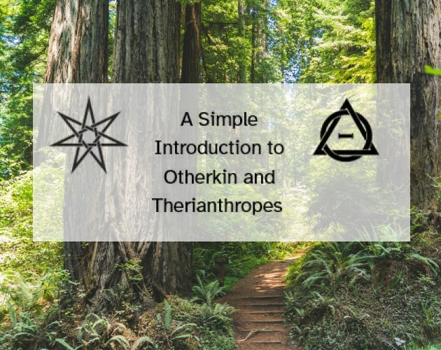 I distributed this zine at a zine fair! - A Simple Introduction to ...