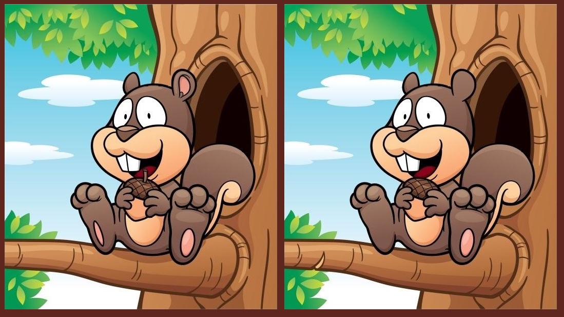Find 5 differences by GamePrograms
