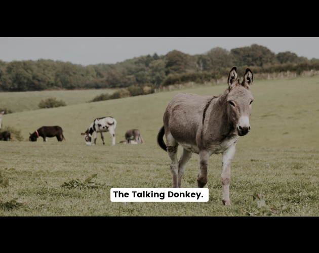 The Talking Donkey - Video Poetry by Unique Virtual Gifts