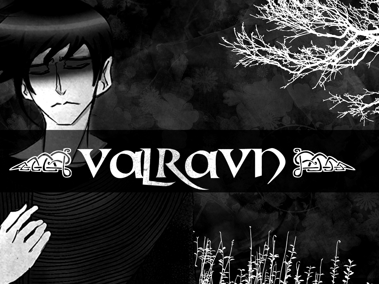 Valravn by seraten04