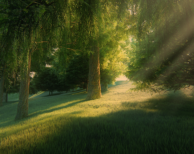 Free Forest Background by Game Dev Assets