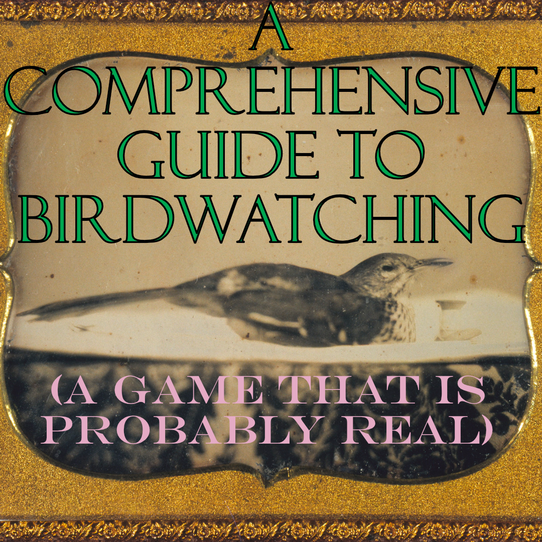 A Comprehensive Guide to Birdwatching by Clawhammer Games