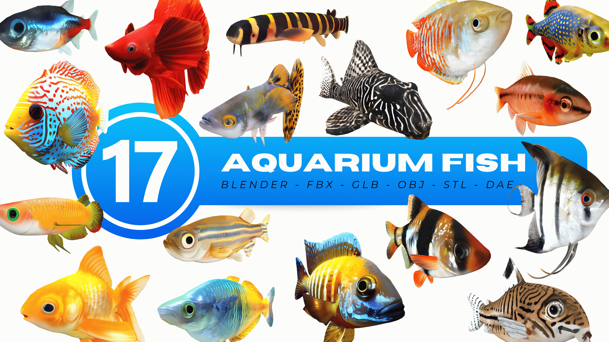 Aquarium Fish Collection 3D Model by NO SKILL MODELLING