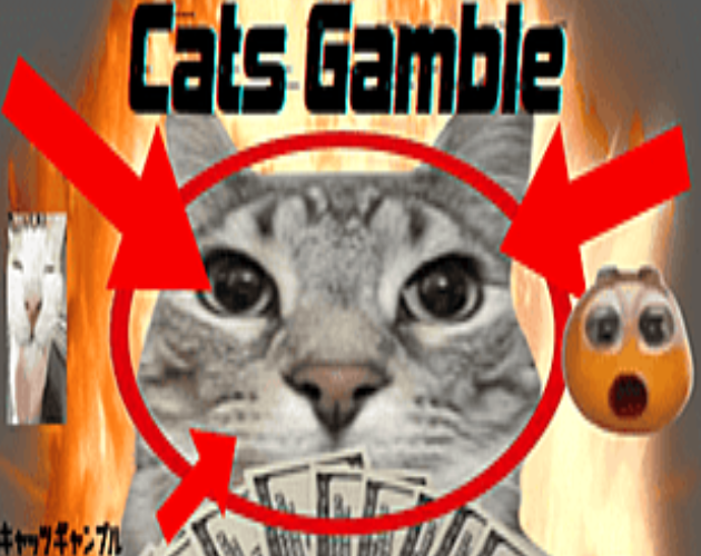 Cats Gamble by Gata