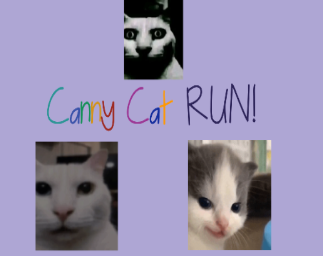 Canny Cat Run by Zephyr
