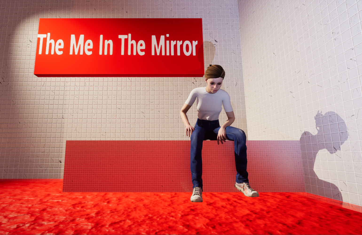 The Me In The Mirror by DevDylDogs, Liam Burden, Adno Games