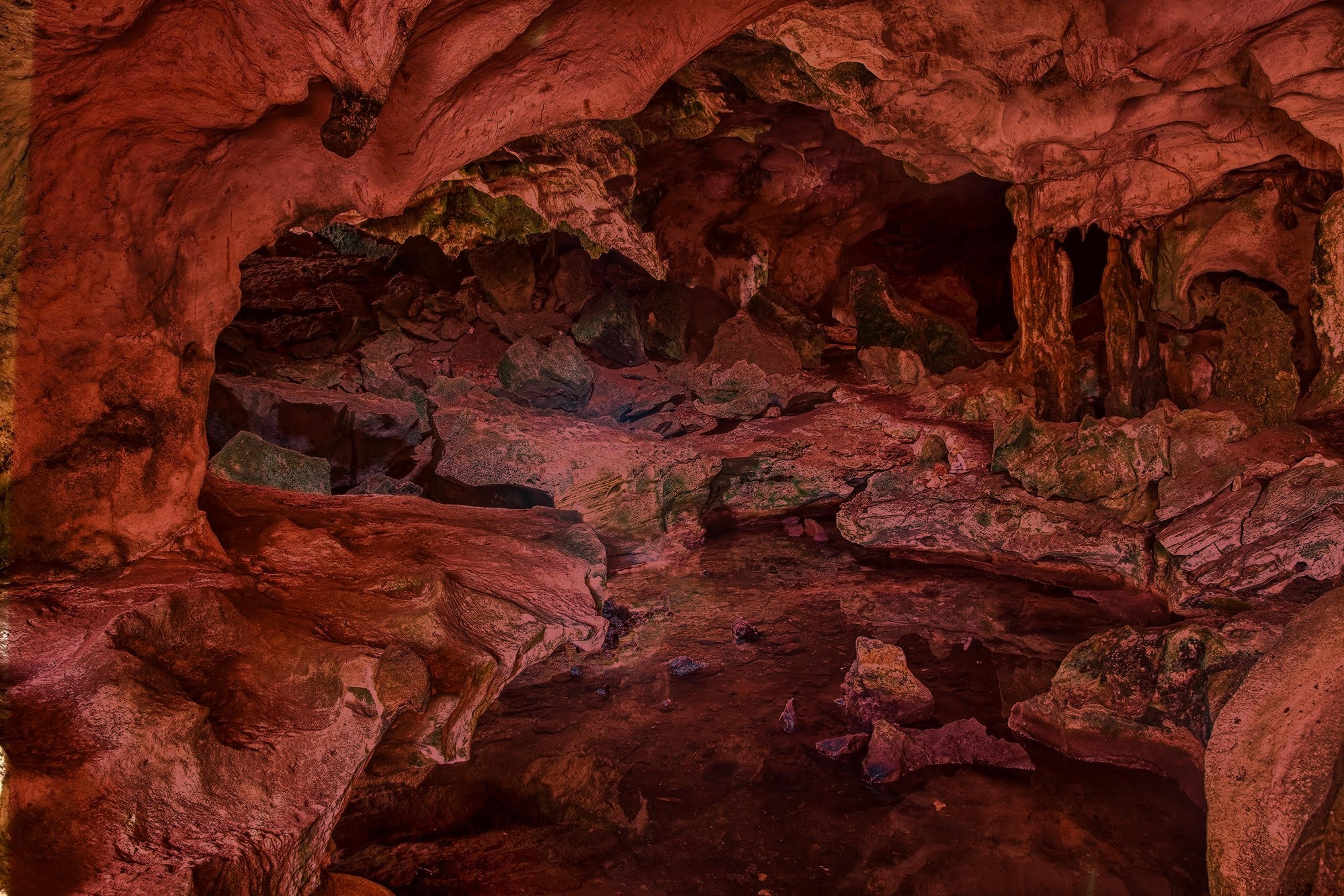 The Curious Elves from the Red Grotto by TheJennarator