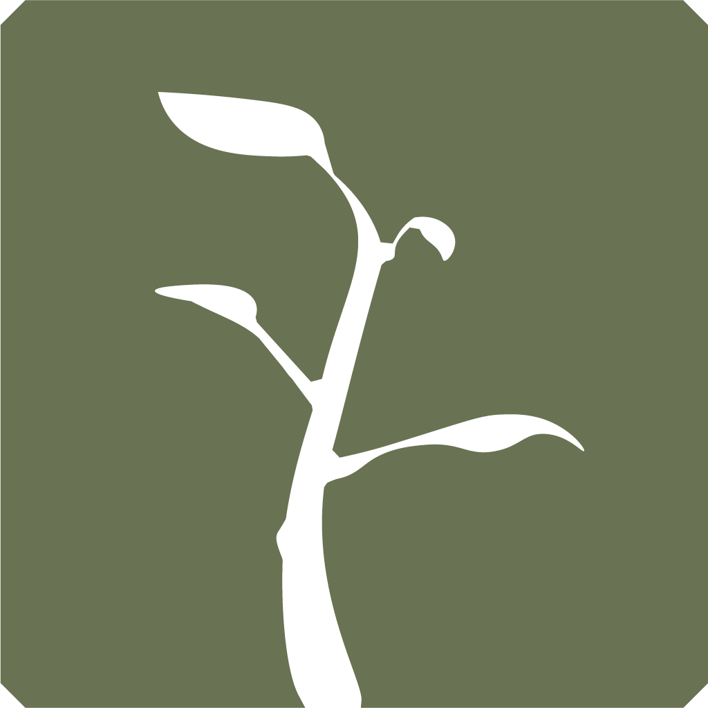 Petrichor by Templar Studio