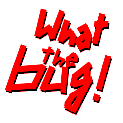 What the Bug! by megacode
