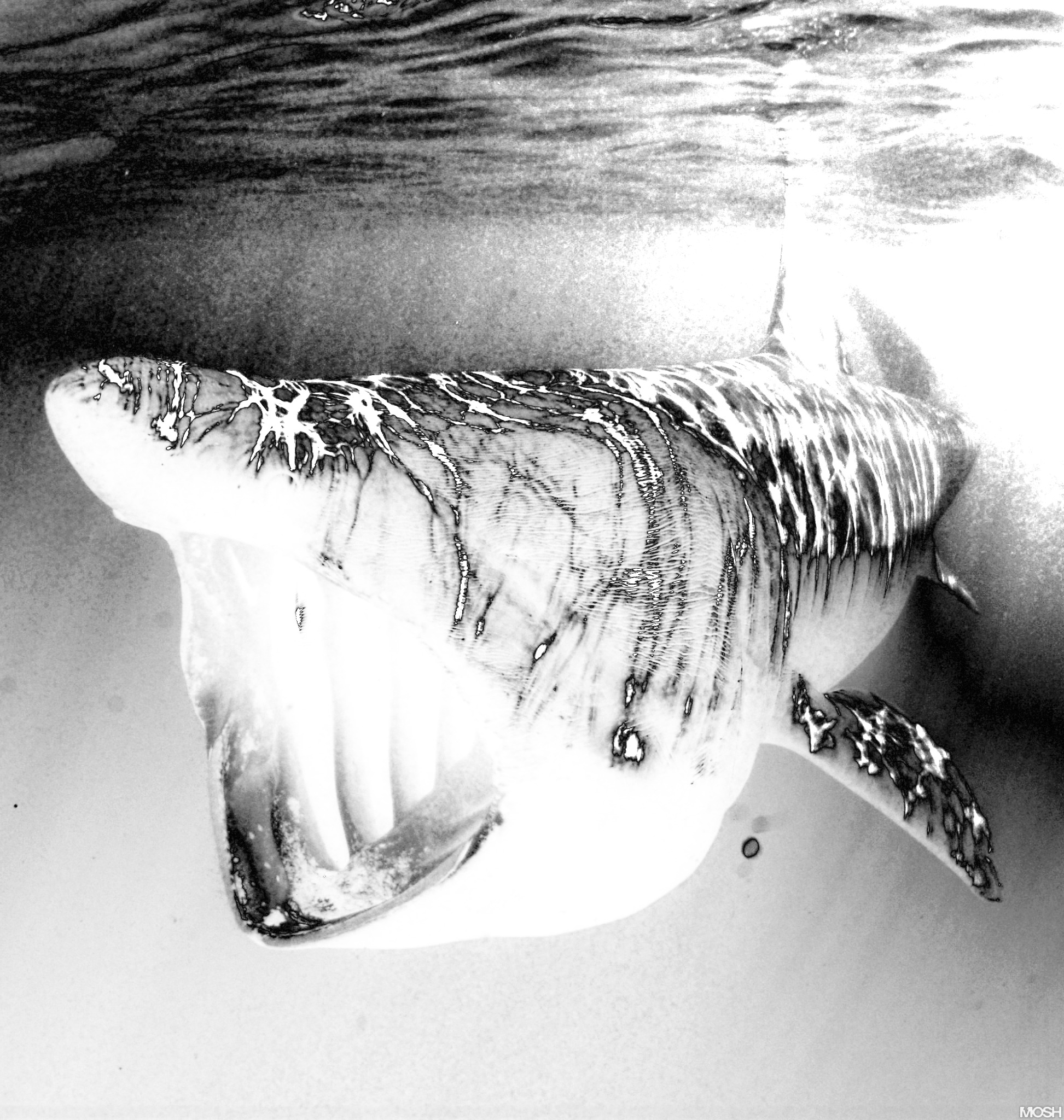 Devlog - Ocean Crawlspace: a dot dungeon zungeon by charvus