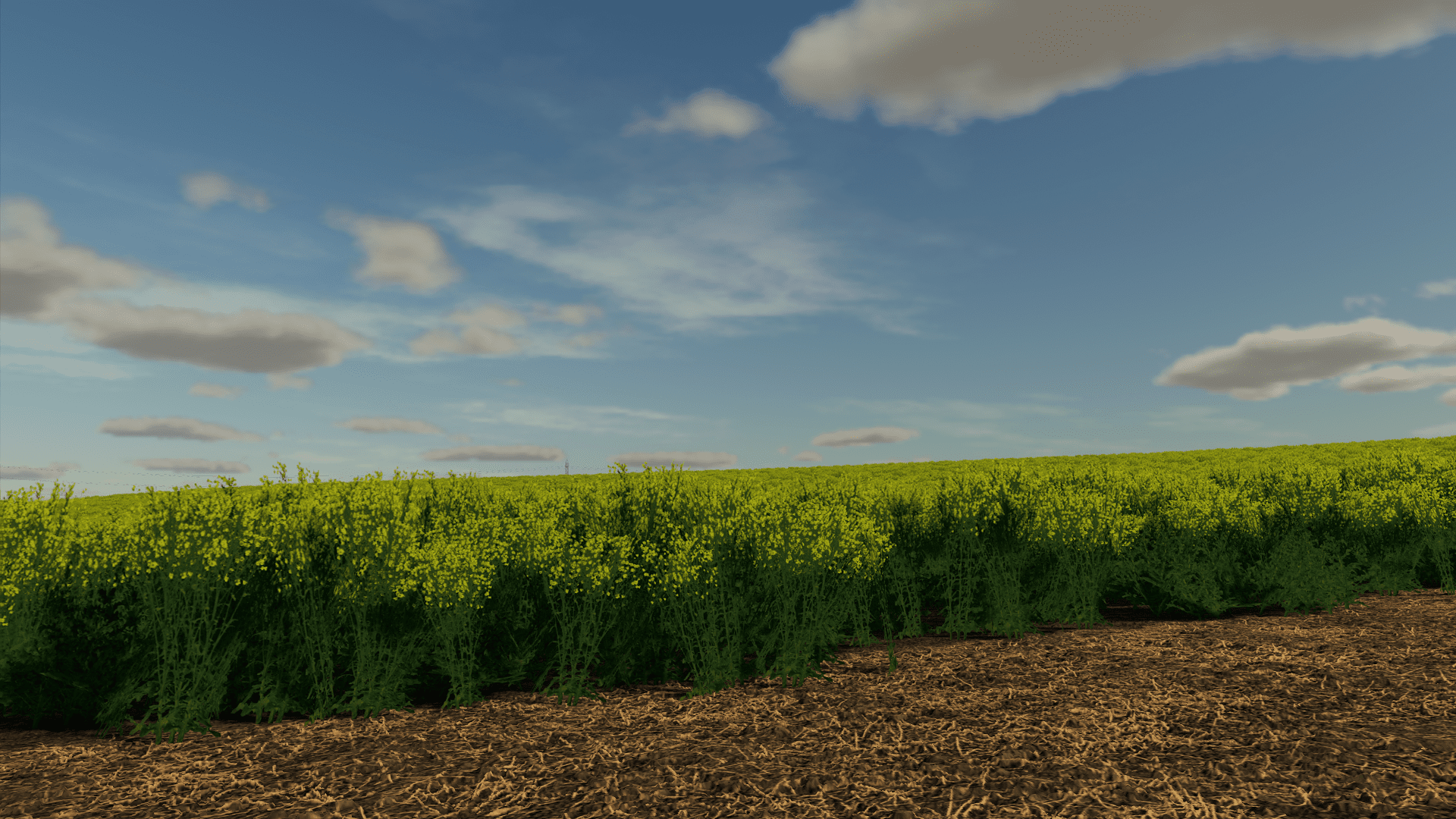 New Cover Crop (FS22) by krajeński