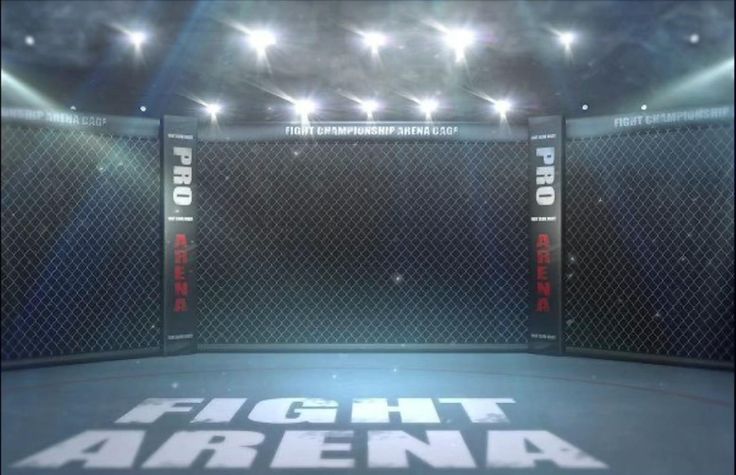 Fight Arena by utsavagarwal