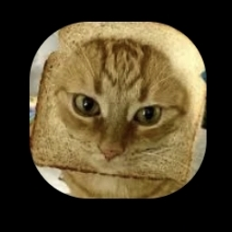 project cat by theguyvr37