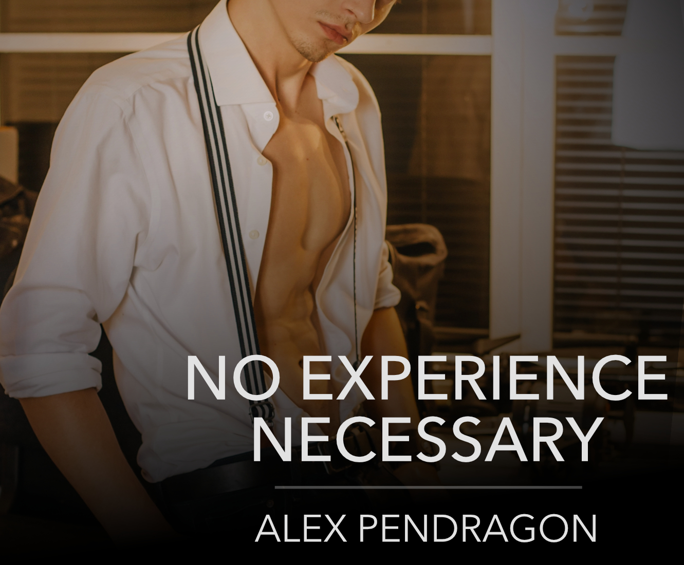 No Experience Necessary by Alex Pendragon