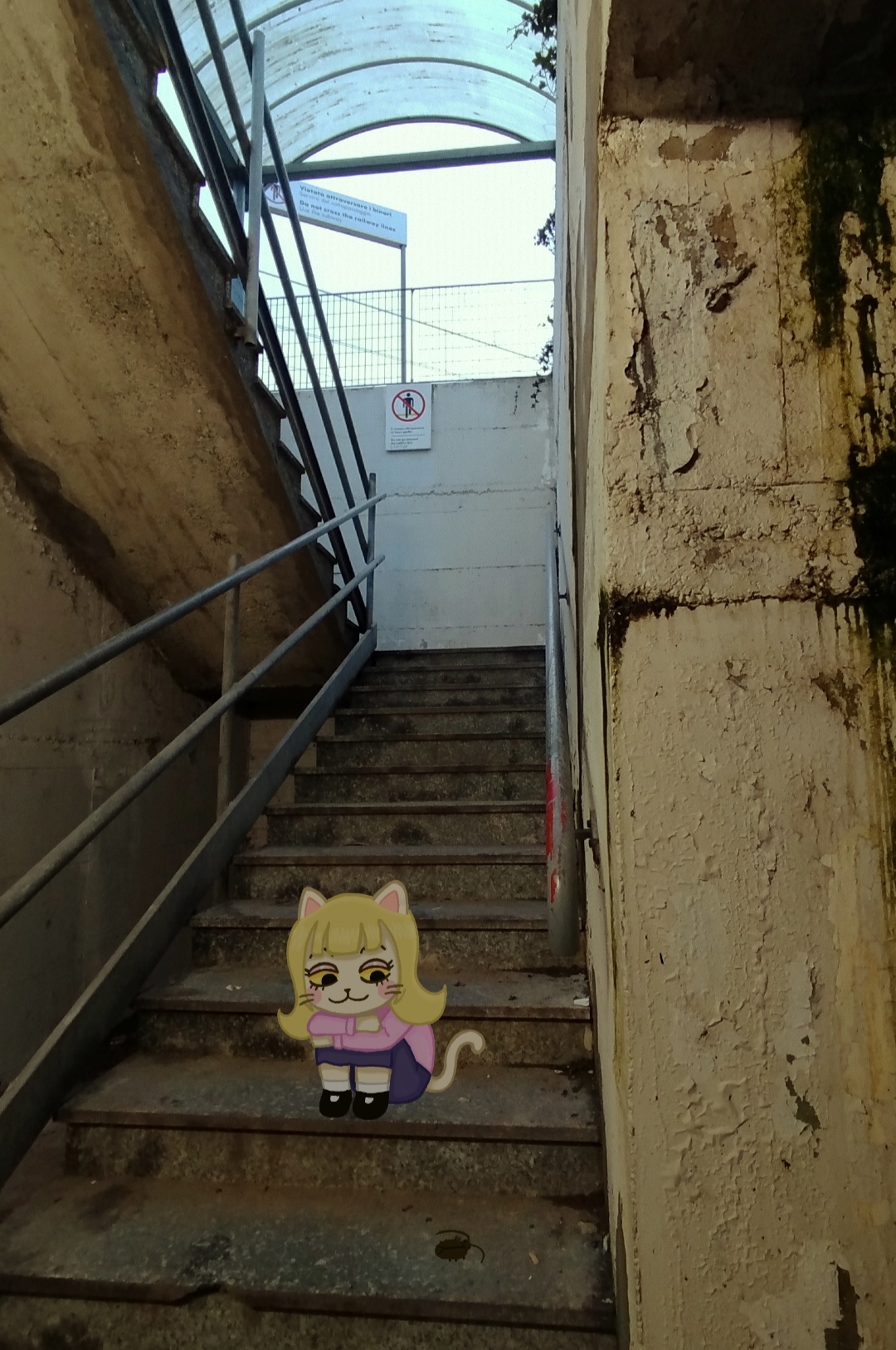 New Katty's game!! (⁠=⁠`⁠ェ⁠´⁠=)ᕗ - itch.io