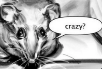 Rubber Room With Rats Simulator 3D by Lexi Luther