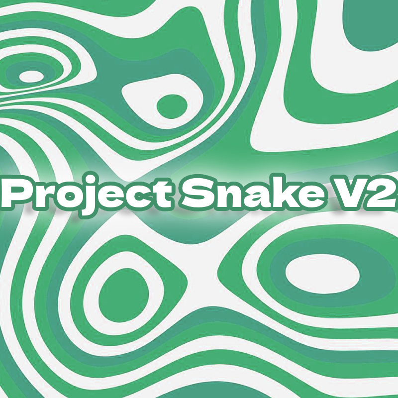 PROJECT SNAKE V2 by PythonVR