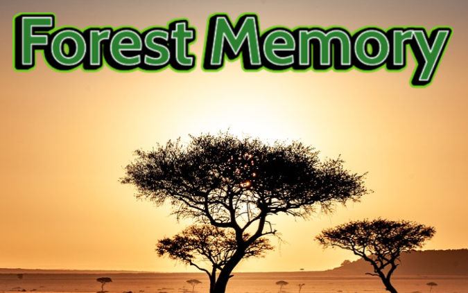 Forest Memory by Hive Red Game Dev