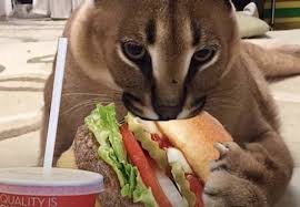 Hecker Clicker by Midas R