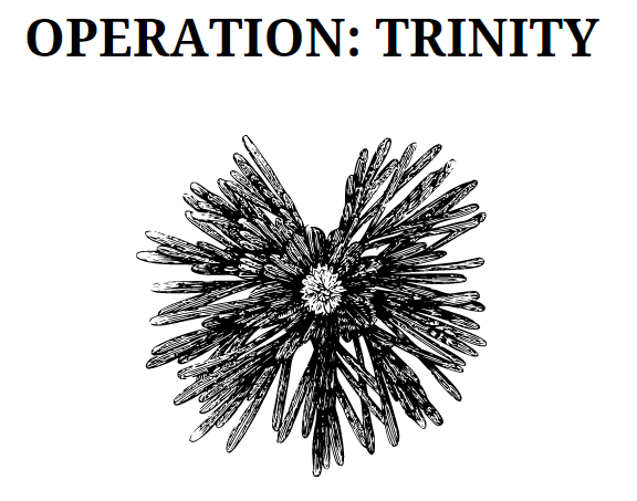 Operation: Trinity by tictak47