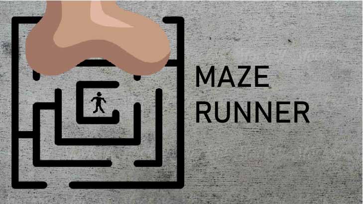 Maze Runner by Snowfly Studios
