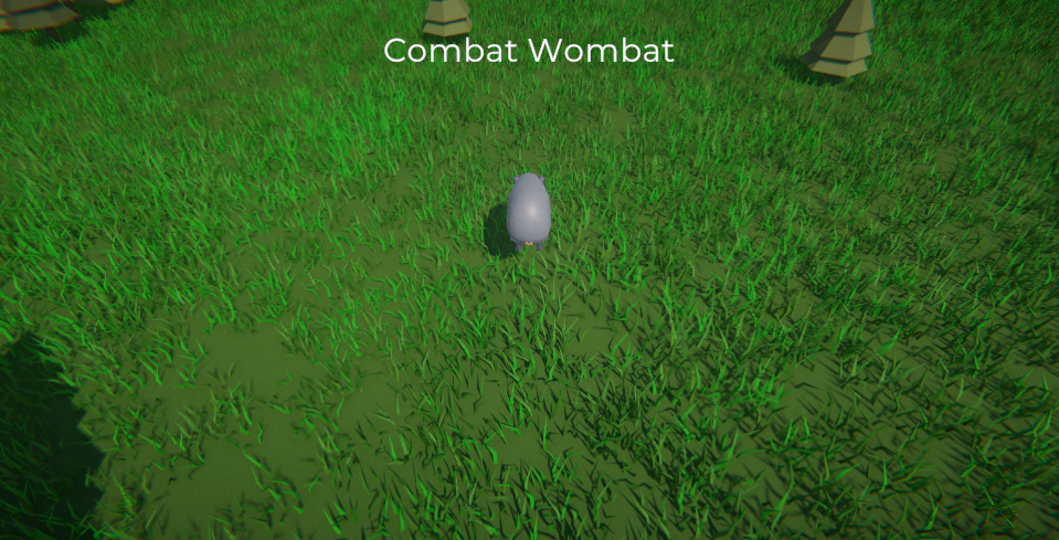 Wombat Combat by gonuggets