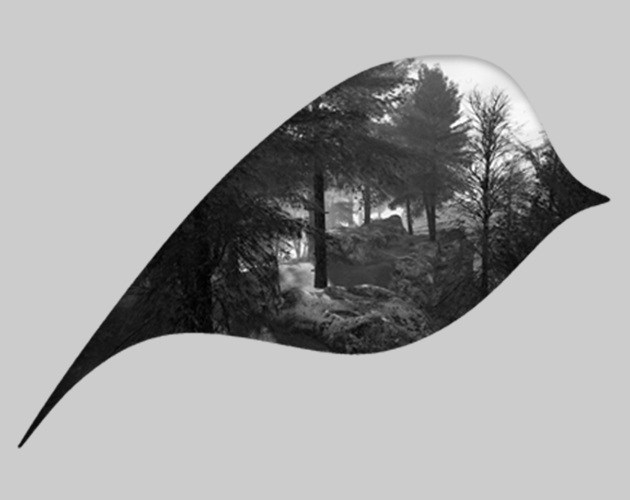 aviary[0] by The Aviary