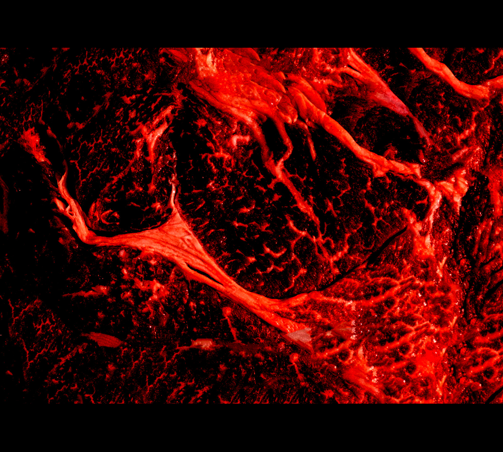 Disintegration by felix lecocq