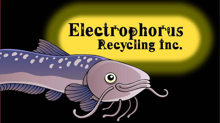 Electrophorus Recycling Inc. by webagent