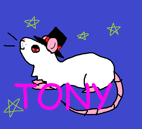 TONY THE RAT MAN'S FUNKY MUSIC by DARK-STAR03