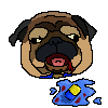 Drug the Pug by FMBarry