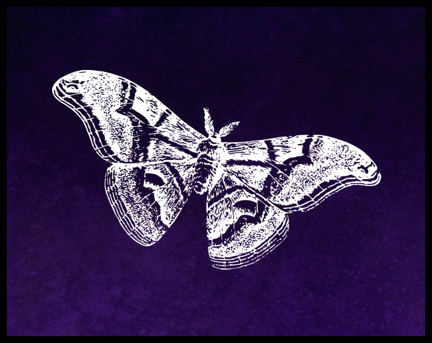 Untitled Moth Game by S. Kaiya J.