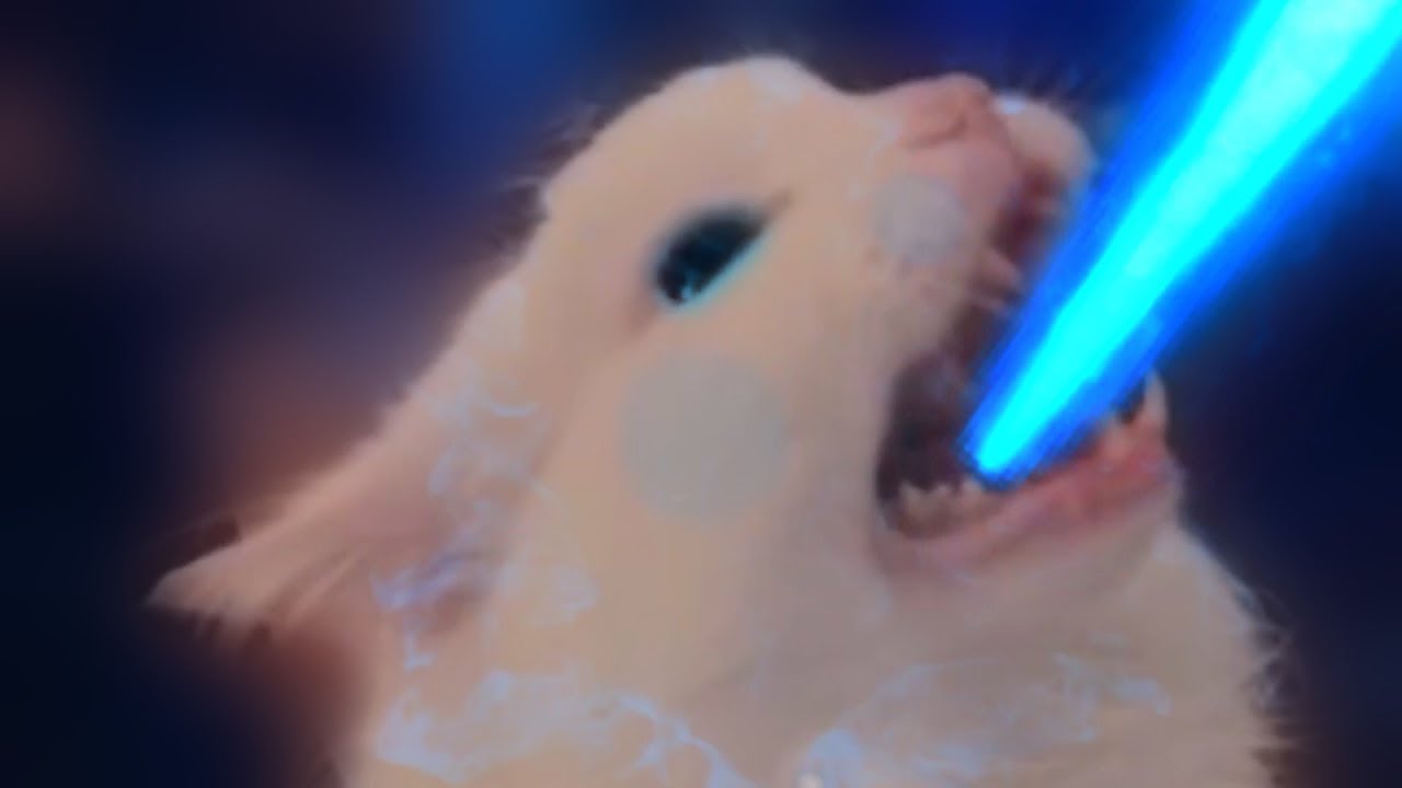 Kat Fight by ROFun Games