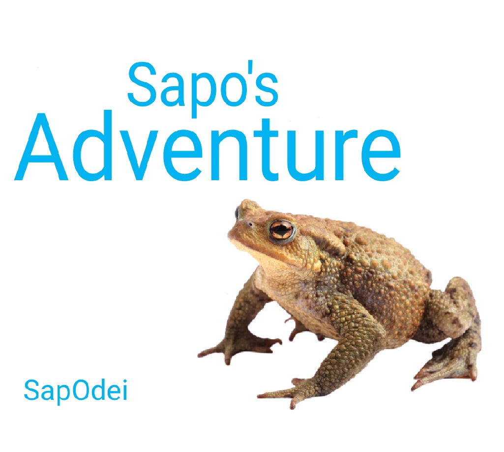 Sapo Adventure by SapOdei Games