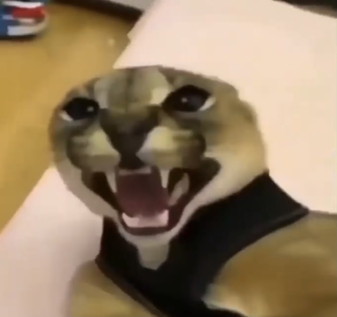 floppa game by bAtatA sus