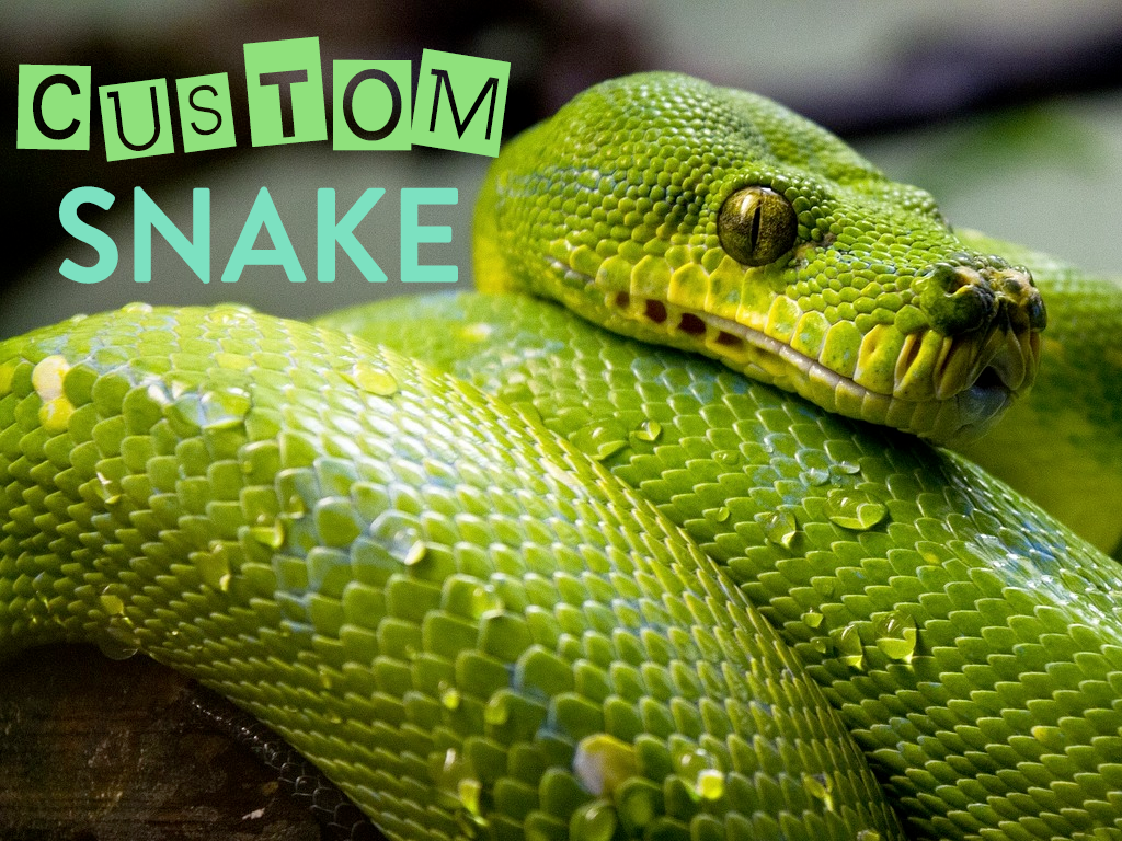 Custom Snake (2019) by leafguy